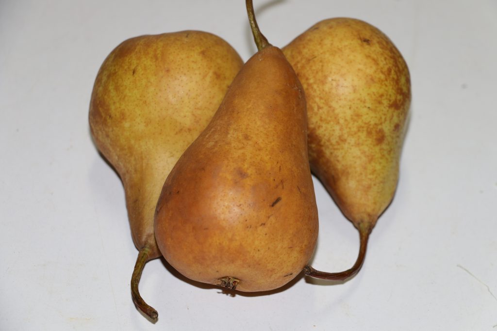 PEARS PACKHAM - Each | Vinnies Fruitz